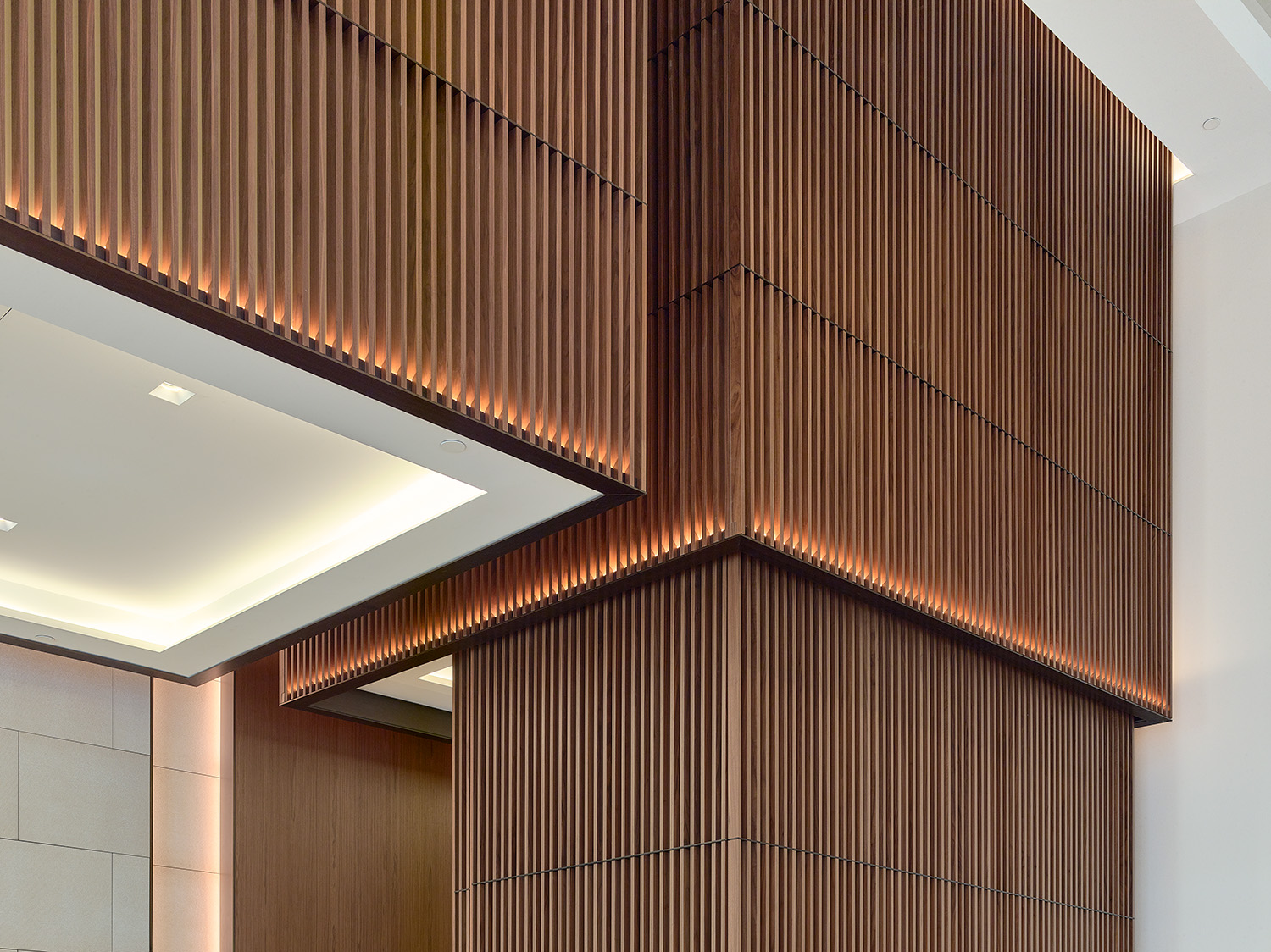 Lee Michaels Quarry | DNA Workshop